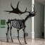 Giant Irish Elk, National Museum of Scotland - Curious Edinburgh